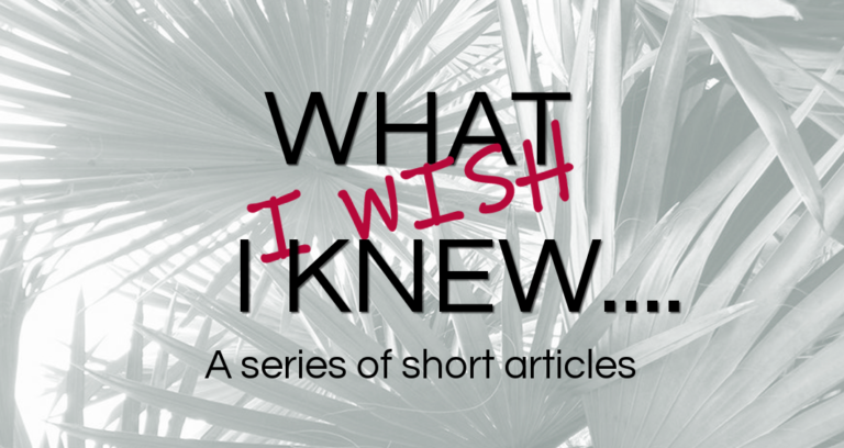 [WIWIK Series] What I Wish I Knew…. About Others’ Approval – Nettola